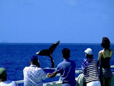 fondant-ai/datacomp-small-clip · Datasets at Hugging Face